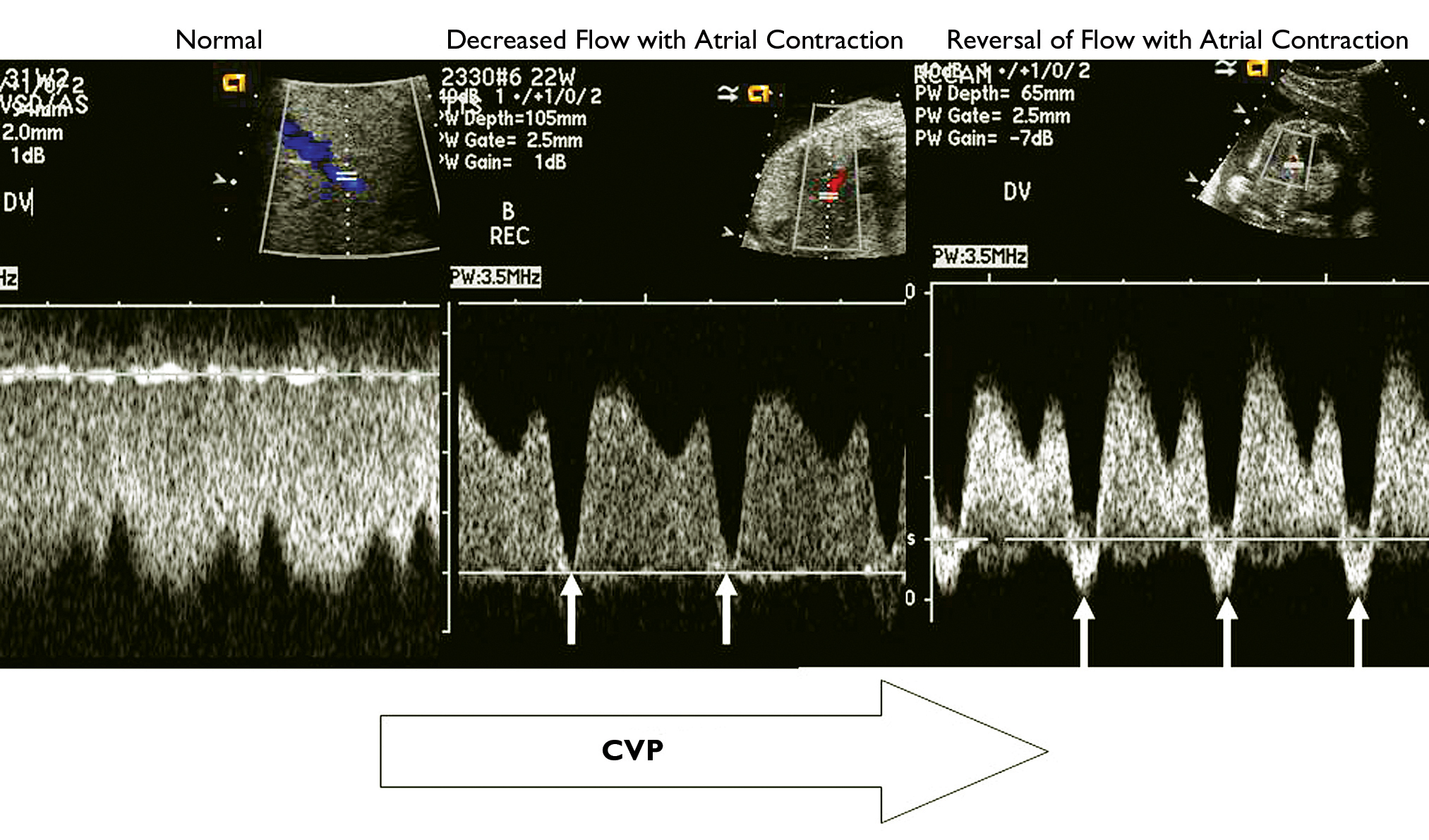 Journal of Lancaster General Health - Journal of Lancaster General Hospital